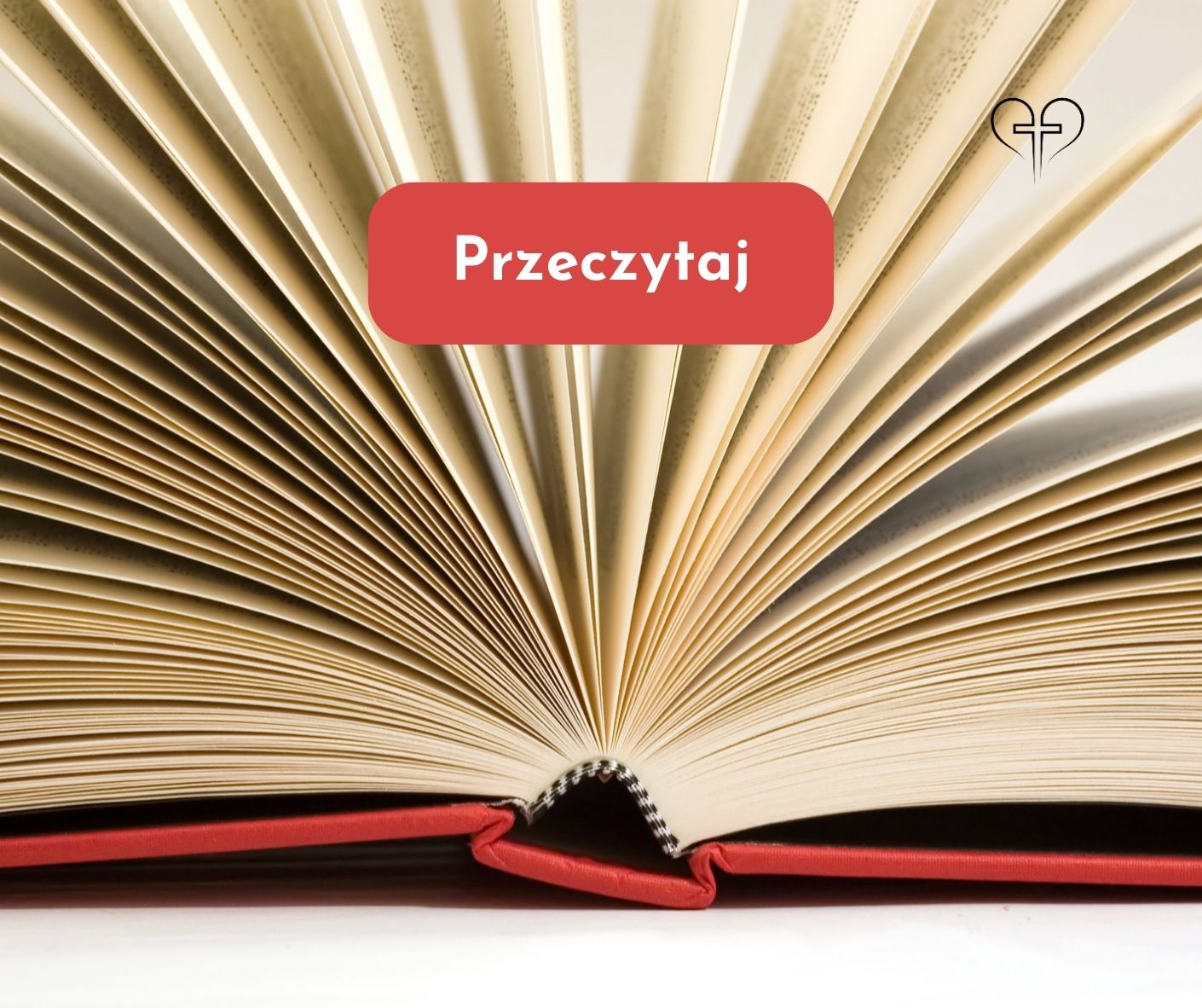 Dzień 14 - Aleksandra Murphy | Szkoła Samodyscypliny